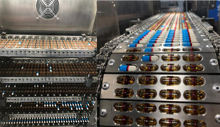 NSF-600 full automatic pharmaceutical liquid/hard capsule banding ...