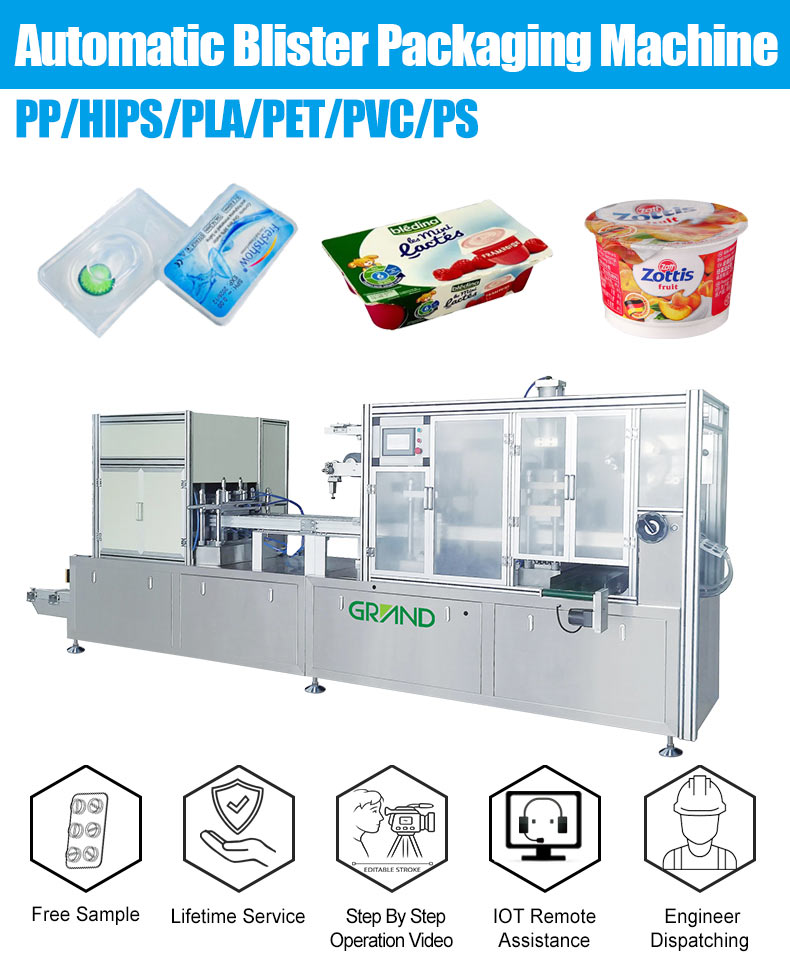 2023 New Automatic PP Blister Packaging Machine - Buy PP blister ...