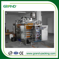 Powder Sachet Packing Machine - Buy Product on Hunan Grand Packaging ...